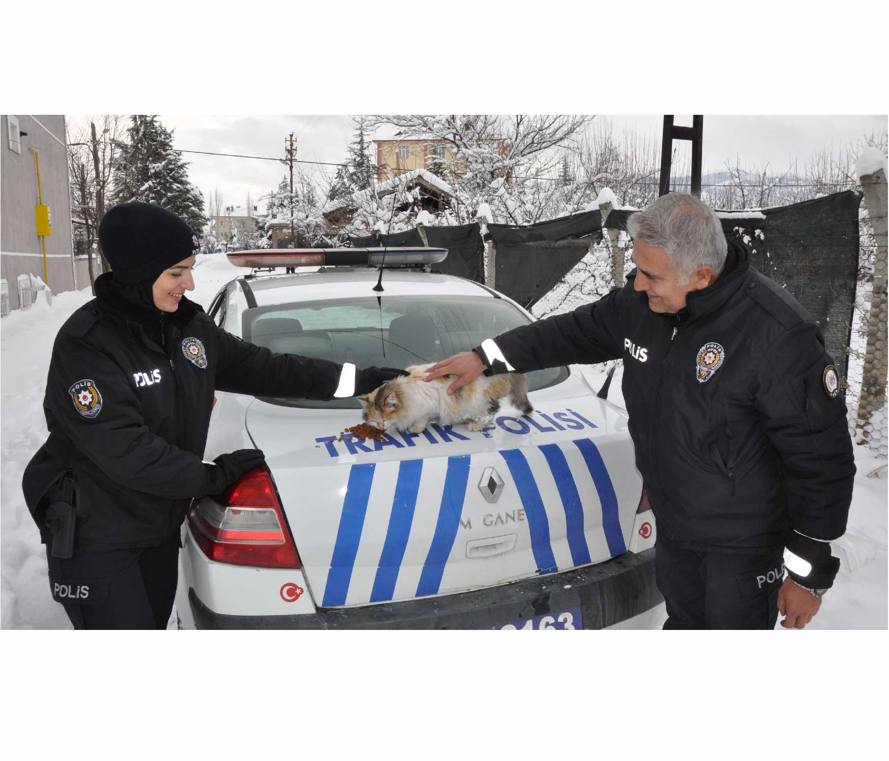 Polis Ekiplerinden Sokak Hayvanlarına Mama Desteği – Gümüşhacıköy Haber ...
